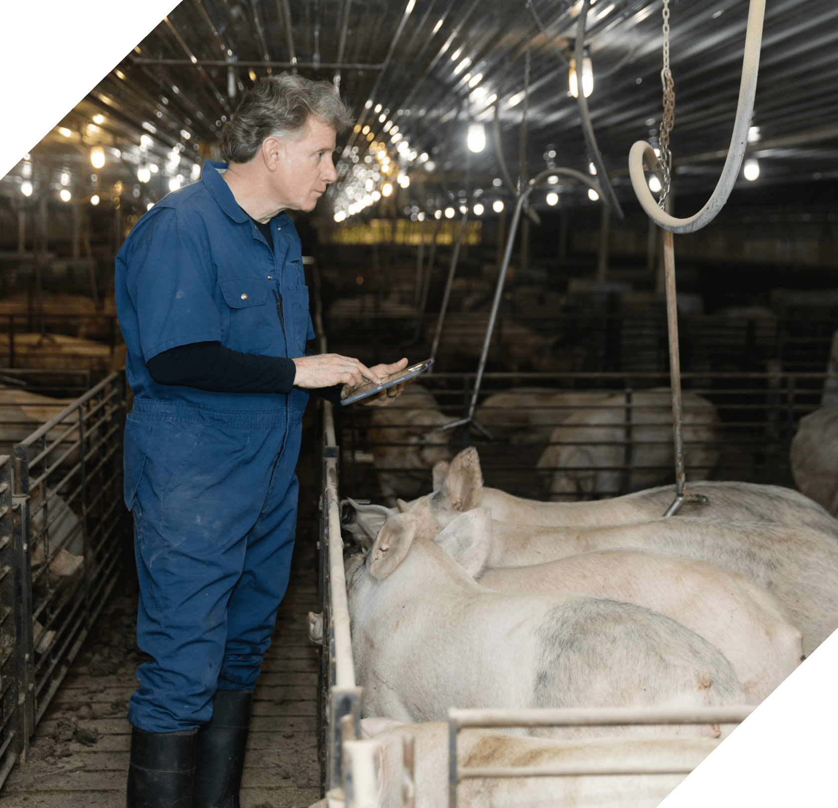 SmartAction Framework